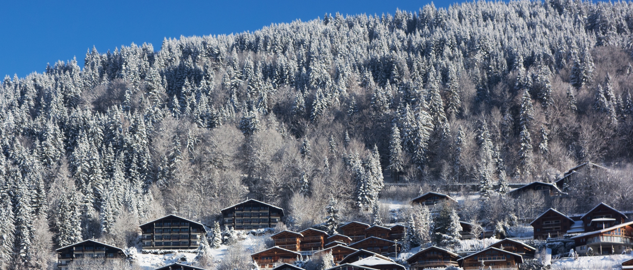 Mountain Base - Property Sales Home Page